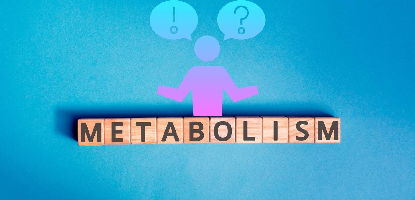 What is the meaning of Metabolism? - Metabolism Definition